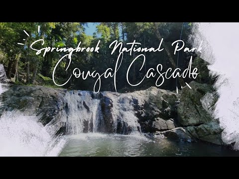 Mount Cougal Cascades | Springbrook National Park Gold Coast Australia ...