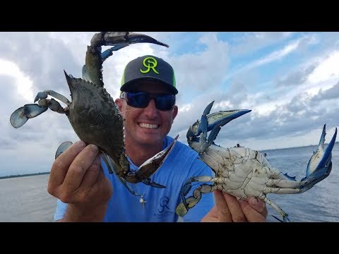 How To Catch Crab: A (Step by Step Guide) On How To Go Crabbing