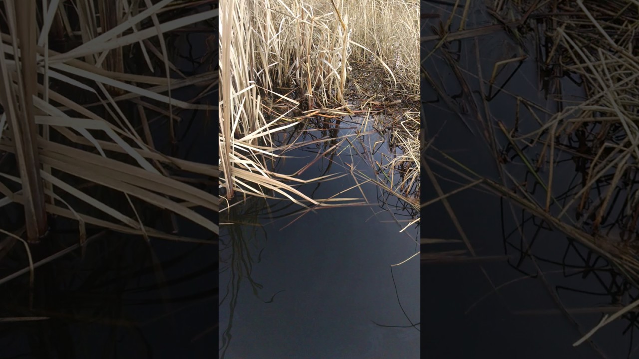 Bottom edge set - YouTube