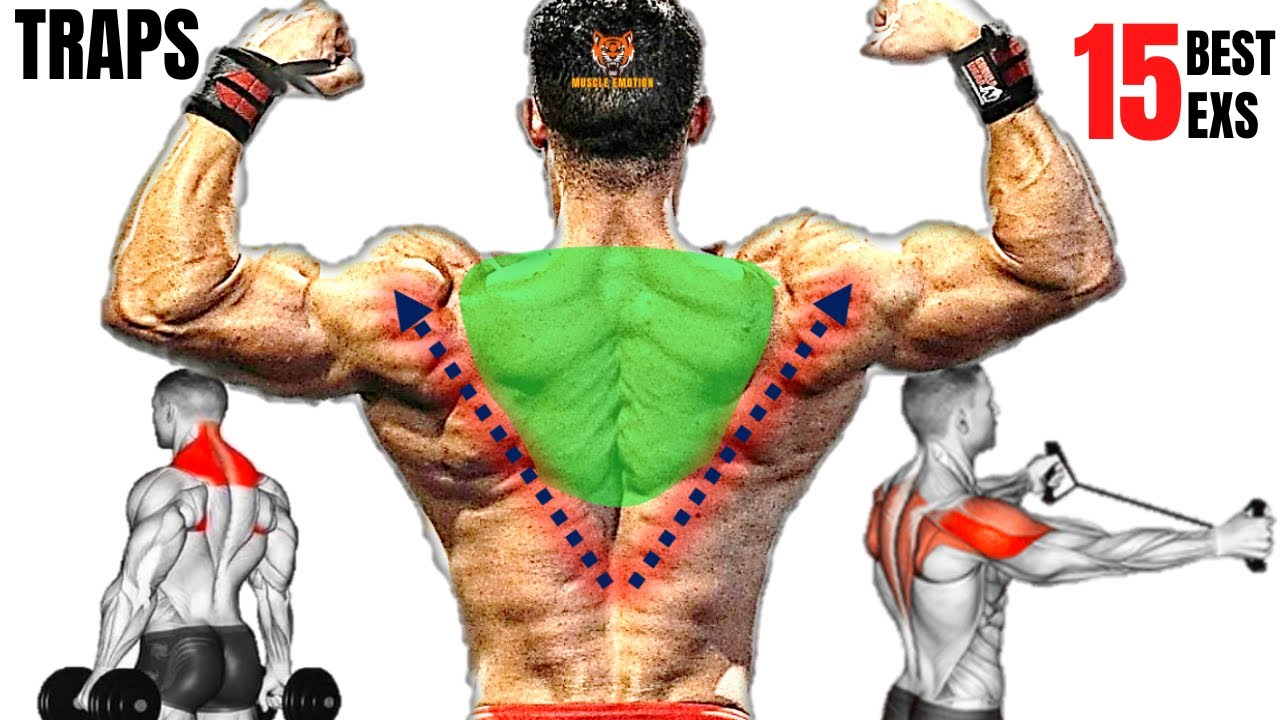 15 BEST TRAPS WORKOUT AT GYM THAT YOU NEVER DID - YouTube