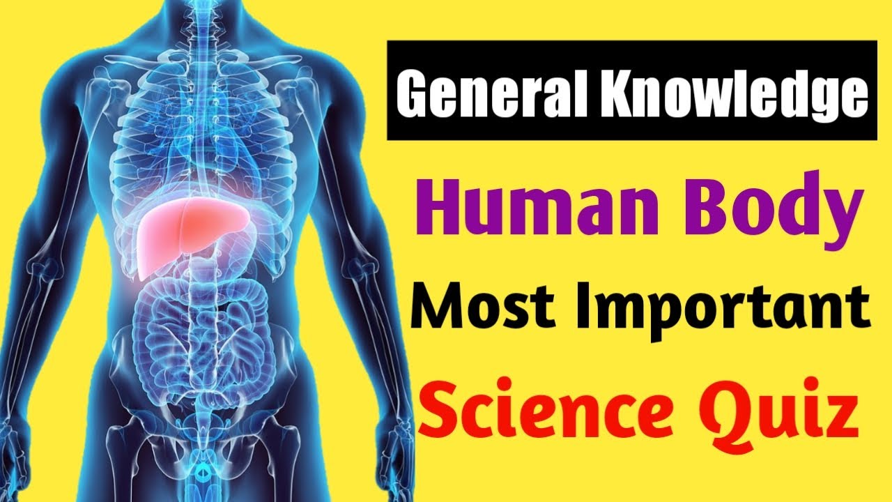 General Knowledge about Human Body | Amazing Facts about Human Body ...