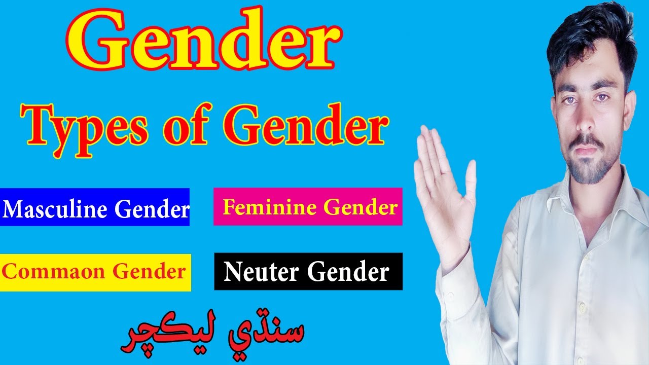 the noun gender || gender || types of gender || what is gender - YouTube