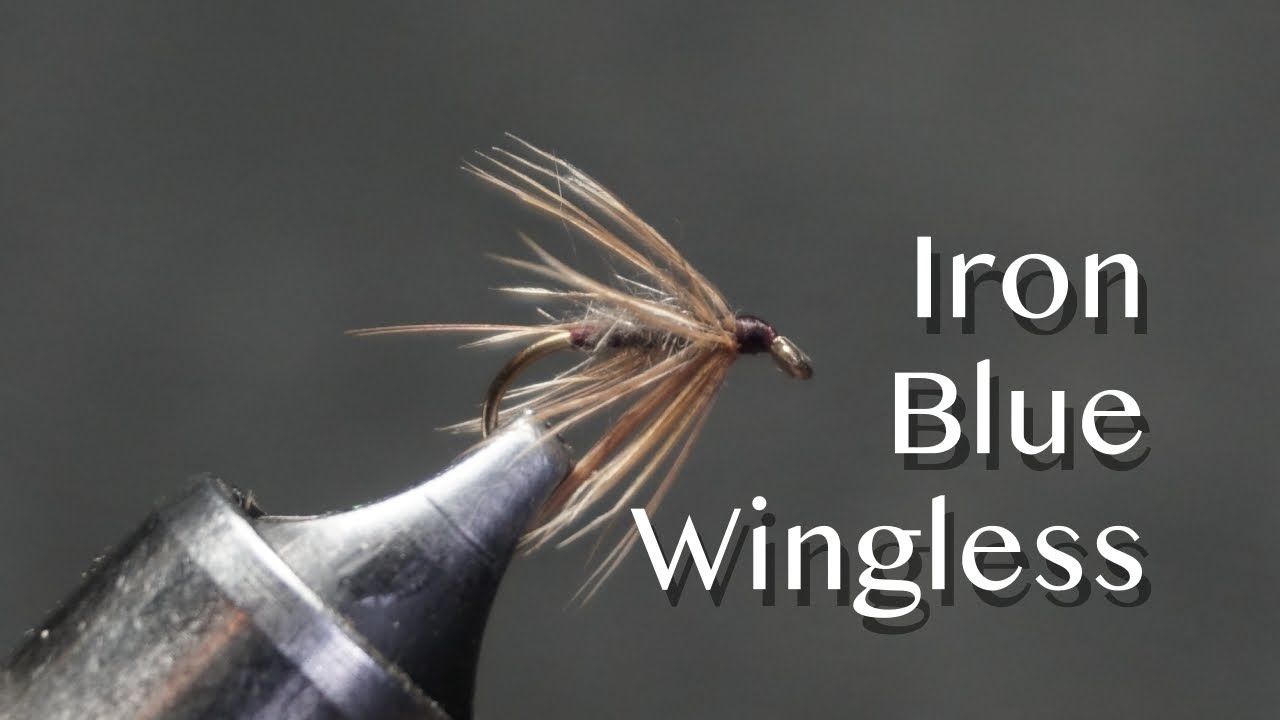 Iron Blue Wingless: a Jim Leisenring / “Pete” Hidy flymph - YouTube