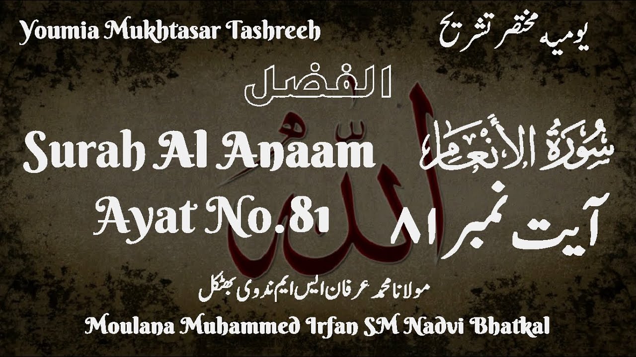 Quran 6:81 | Chapter 6 - Verse 81 | Surah 6 - Ayat 81 | Surah Al Anaam ...