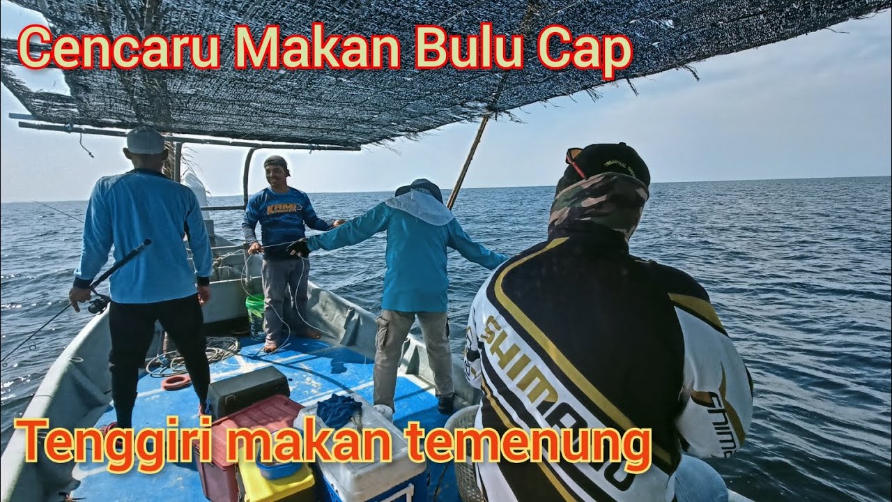 Tuas Yan Kedah, Kuala Dulang Kecil - Berhasil Tenggiri, Cencaru, Talang ...