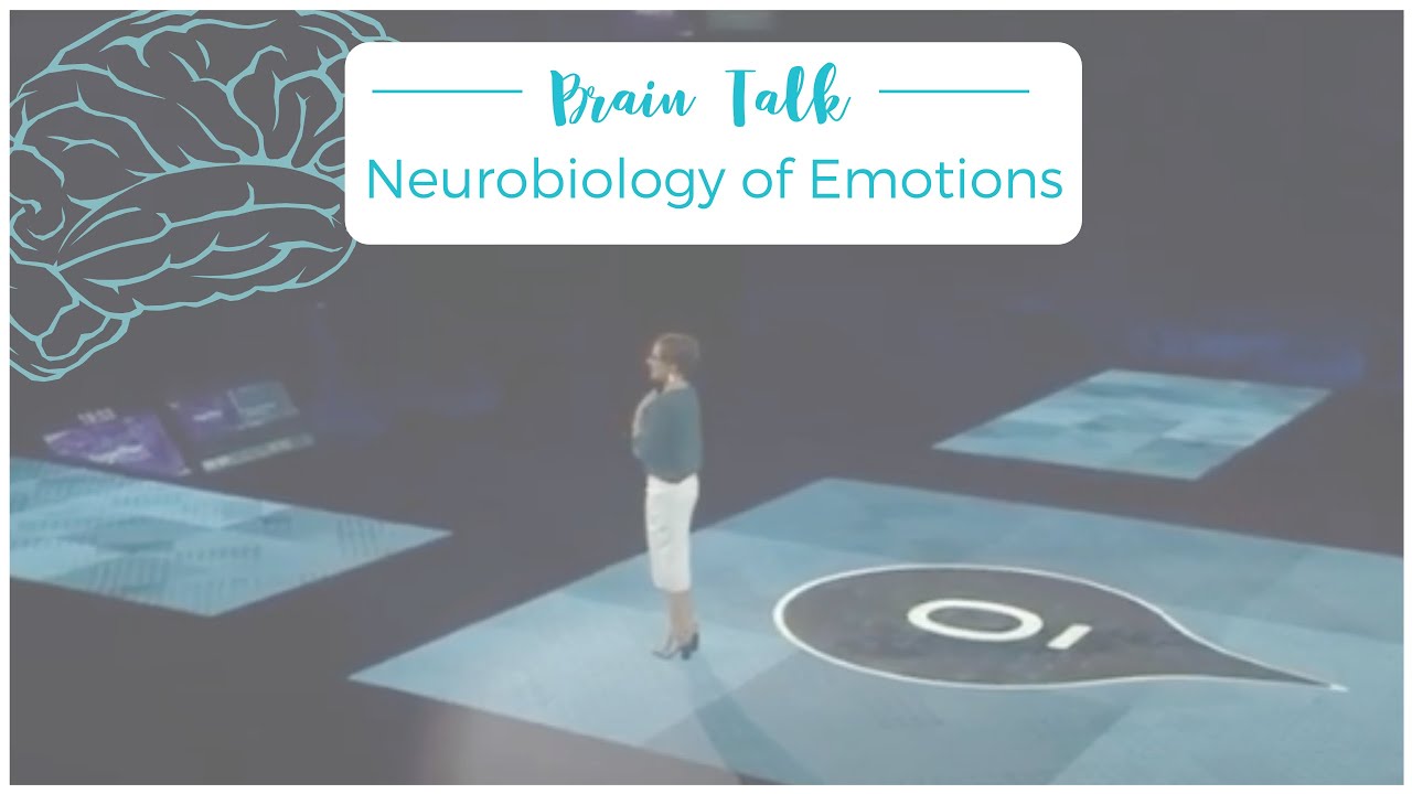 Brain Talk: Neurobiology of Emotions - YouTube