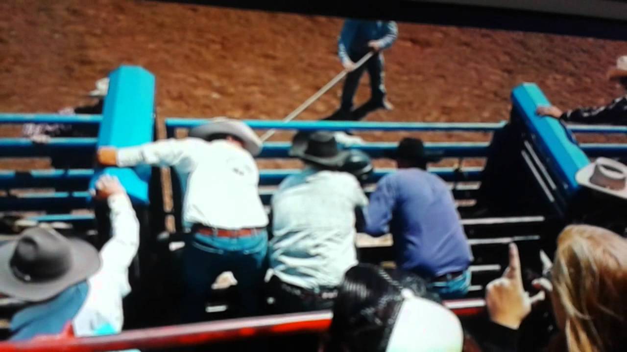 Rank bull Riding - YouTube