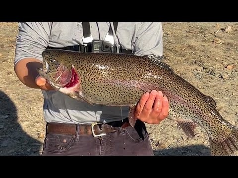 9lbs Rainbow Trout -EP4 #trout fishing #mini- jigs - YouTube