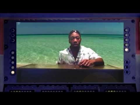 2 Scoops (Agent Beach)