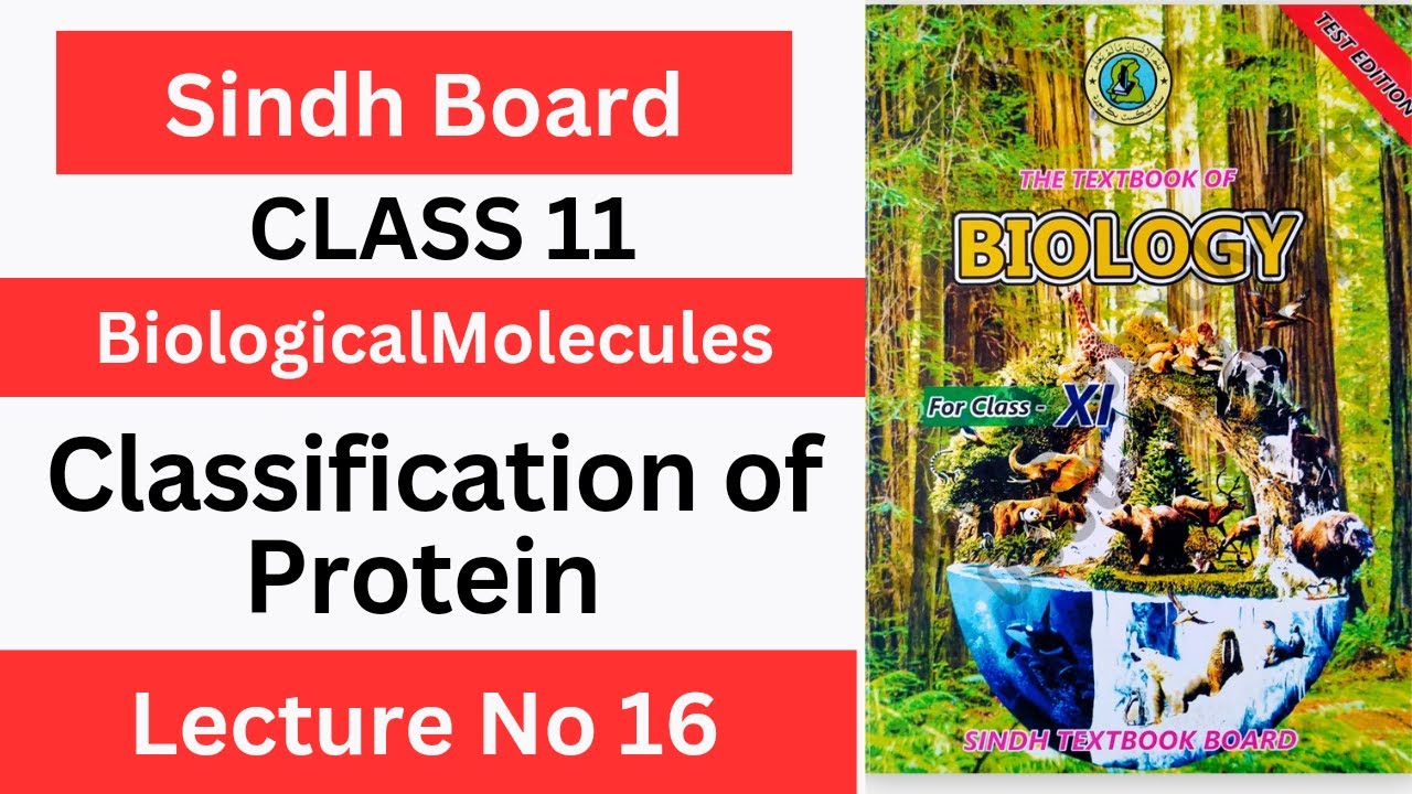 Classification of protein |Class 11| Chp1 Biological Molecules | Sindh ...