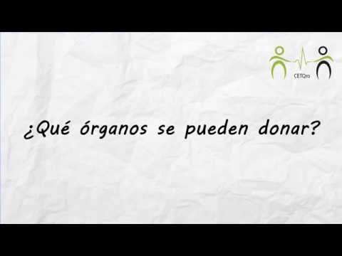 ¿Que Órganos se pueden Donar?