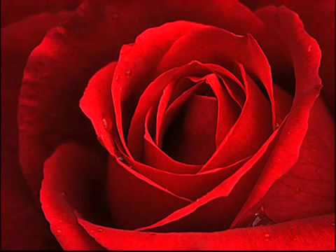 Cengiz Coşkuner - Anla Halimden - Arabesk'in Yıldızları,