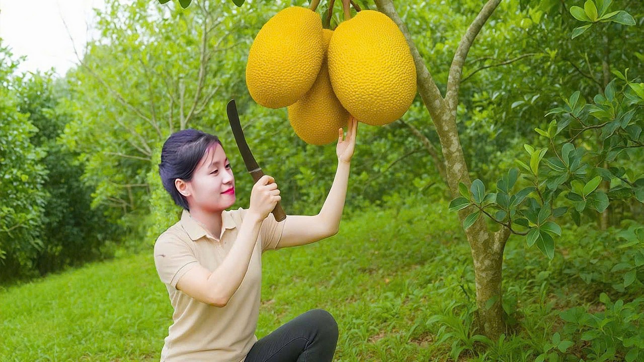 24 Hours Harvesting Giant Thai Jackfruit to Sell at the Market – Raising Baby Chicks | Ly Tieu ...