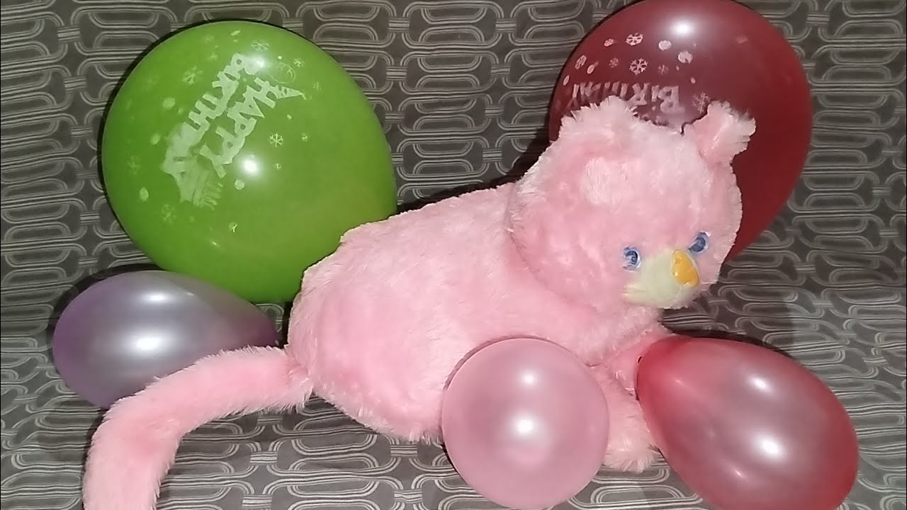 Cat balloon popping 🐈😺FUN BALLOON POP #satisfying #asmr #popping # ...