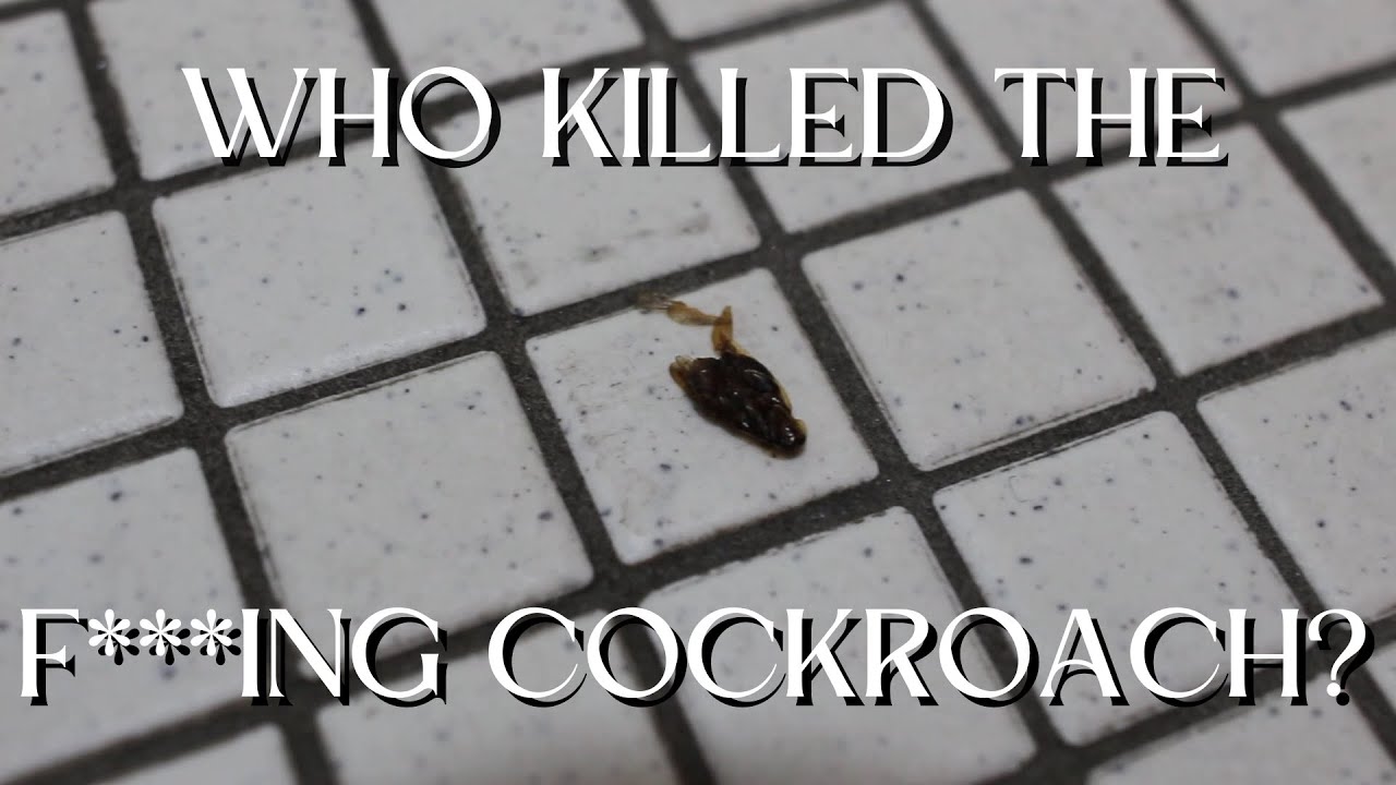 Who Killed the F***ing Cockroach? - A Whodunnit Short Film (2024) - YouTube