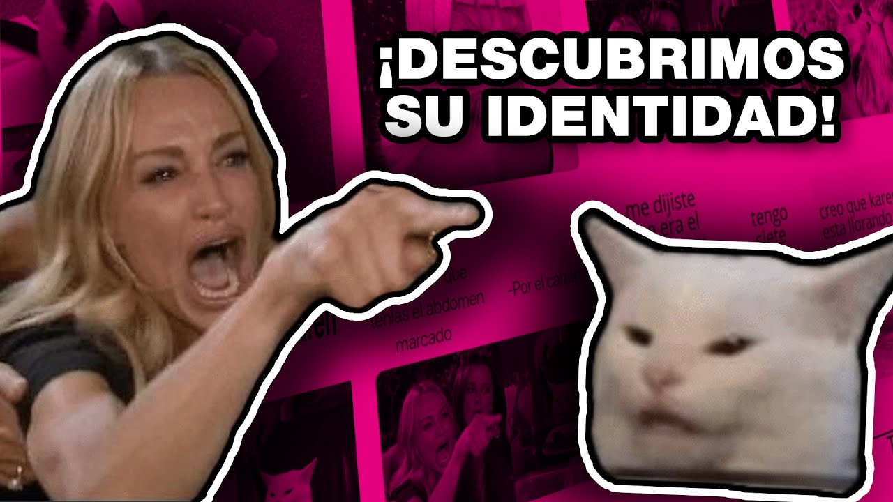 ¿DE DÓNDE SURGE EL MEME DE KAREN Y SU GATO? 😼 LA GATERÍA TV - YouTube