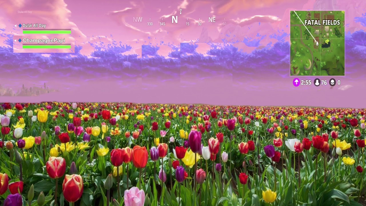 Fatal Fields (ASMR) - YouTube