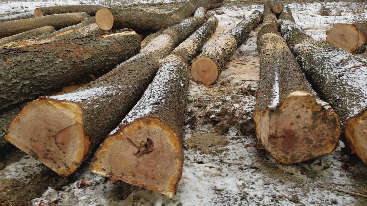 Timber Day 1 - YouTube