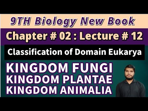 9th Biology New Book| Chapter no 02| Lecture no 12| Kingdom Fungi| Kingdom Plantae| Kingdom ...