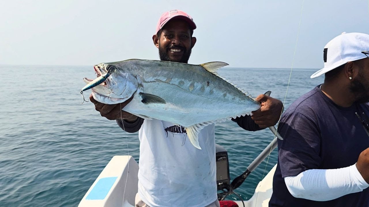 FISHING INSHORE REEFS & WRECKS FOR PREDATORS - Multispecies Session ...