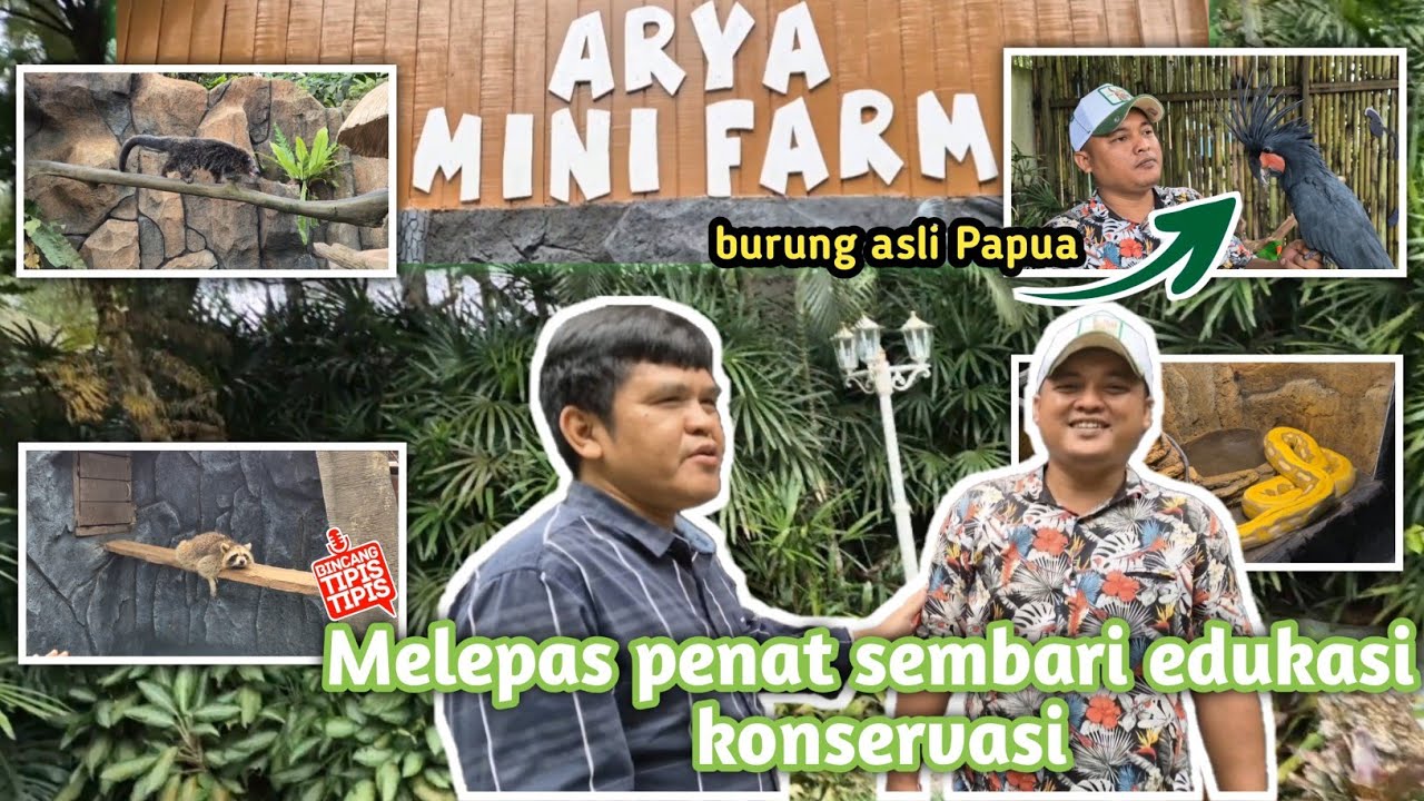 Wisata Alam Rumah Ulin Arya, Samarinda, KaltimTempat Menghibur Diri dan ...