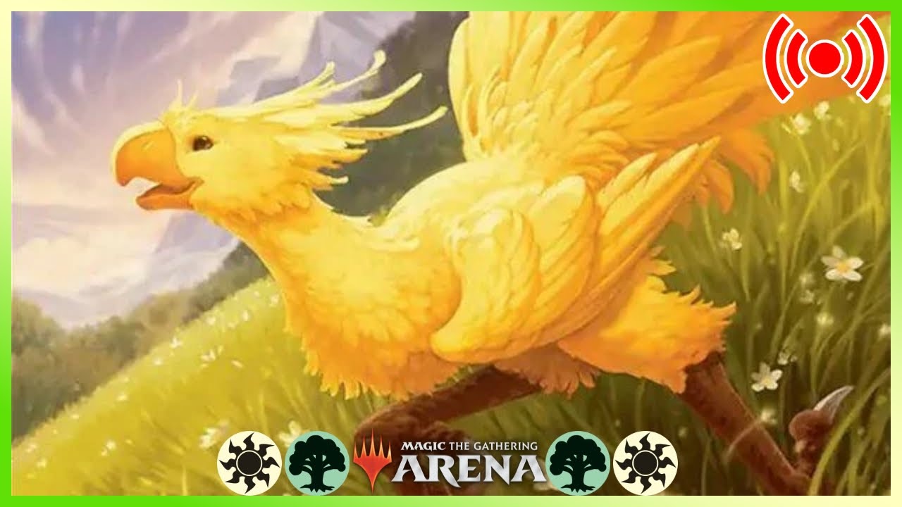 I Believe in CHOCOBOS | 06/23/25 | MTG Arena Standard Ranked Bo1 SELESNYA - YouTube