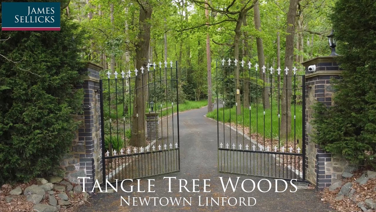 Tangle Tree Woods, Newtown Linford - YouTube