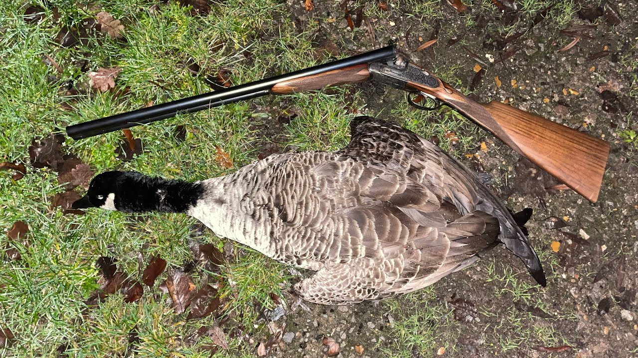 Canada Goose shooting Christmas 2022 - YouTube