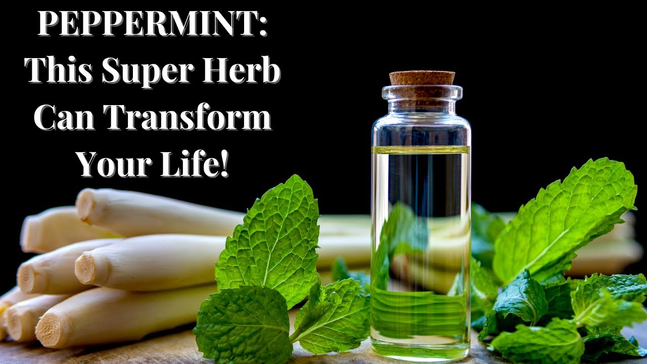 From Aromatherapy to Digestive Aid: Exploring Peppermint's Many Wonders ...