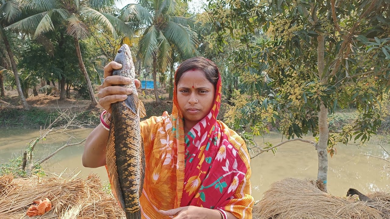 Taste of deshi fish | গ্ৰাম্যপদ্ধতিতে পুকুরের জ্যান্ত শোল মাছের তেল ঝাল ...