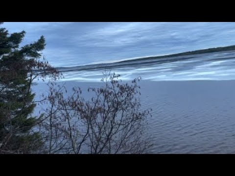 Goose Break 2023 part 2 - YouTube