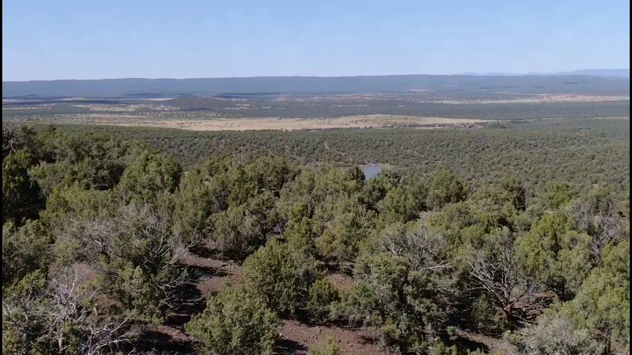 Over head view. - YouTube