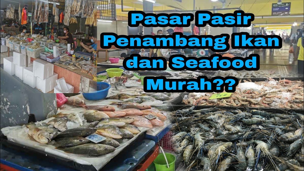 Pasar basah pasir penambang makanan laut murah? #seafood #fishmarket # ...