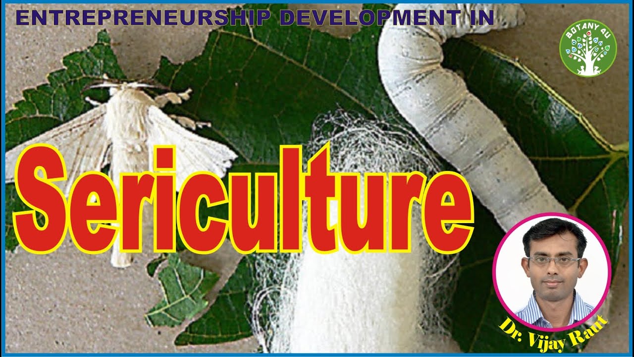BOTANY 4U | IPILS-2020 | VIJAY RAUT | Sericulture - YouTube