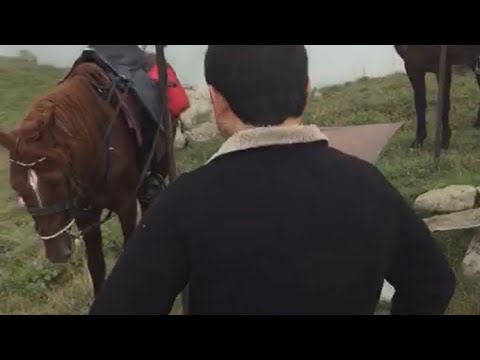 Yorga Atlar  “Pir Sultan” Daşkəsən 19.08.2018