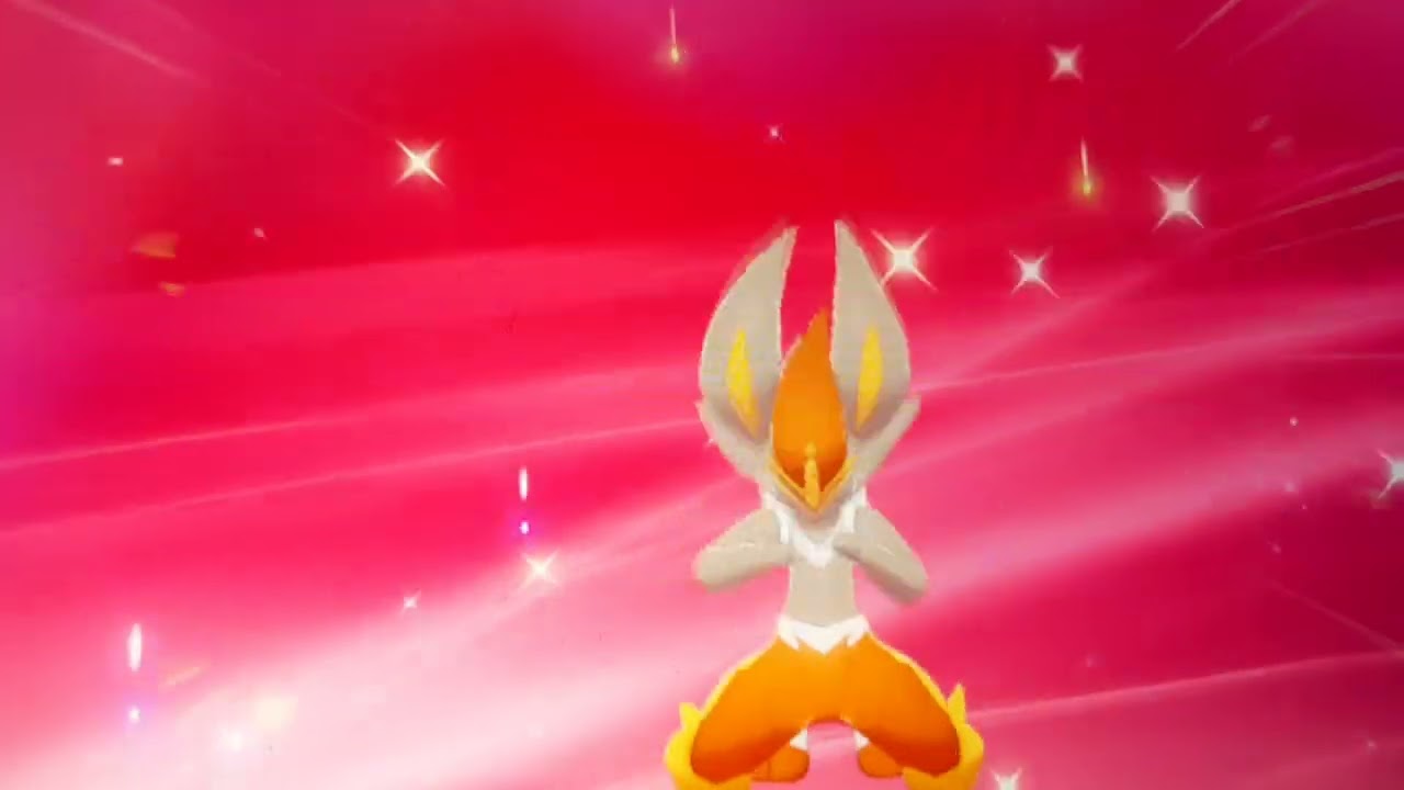 my shiny Raboot is going to evolve into Cinderace #annmariehedgehog # ...