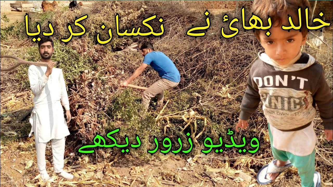 khalid bhai na nuksan kar day - YouTube