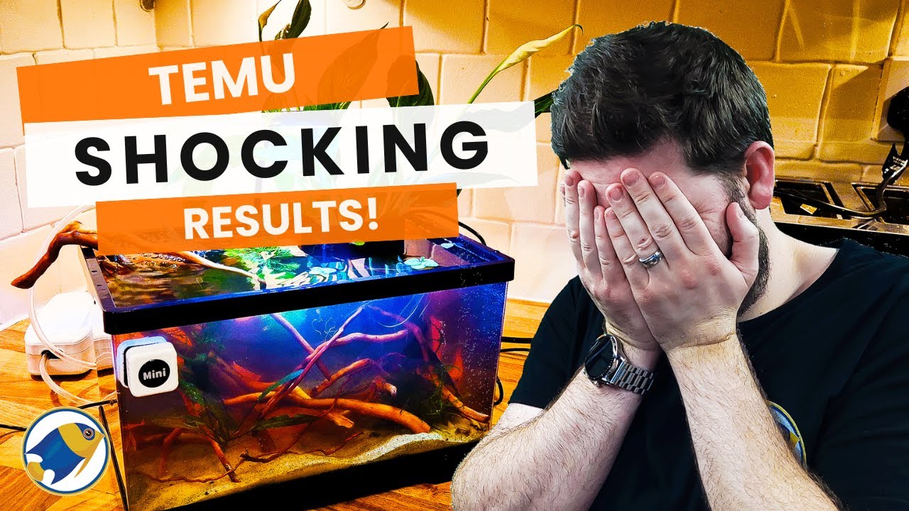 Temu’s 'Perfect' Aquarium Setup… TOTAL Disaster or Dream Tank?! - YouTube