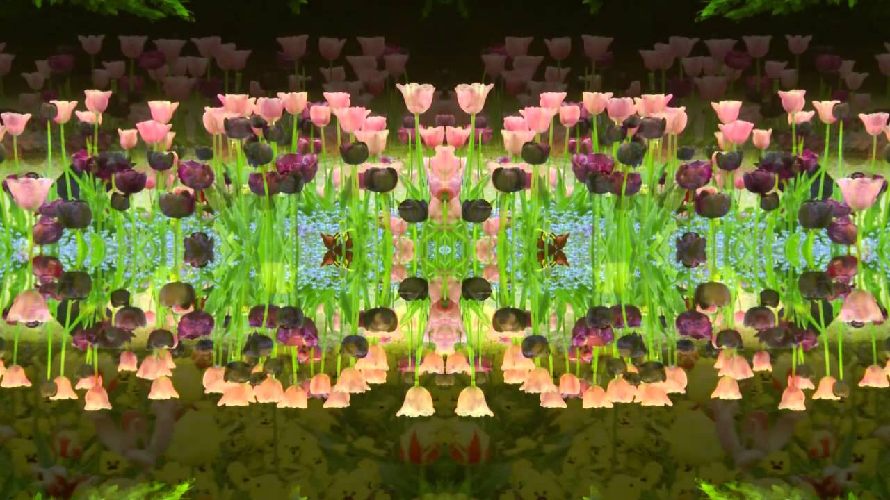 guru guru - may dream - YouTube