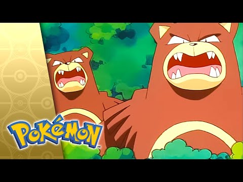 Forest Grumps! | POKÉMON FULL EPISODE 39 | Season 3