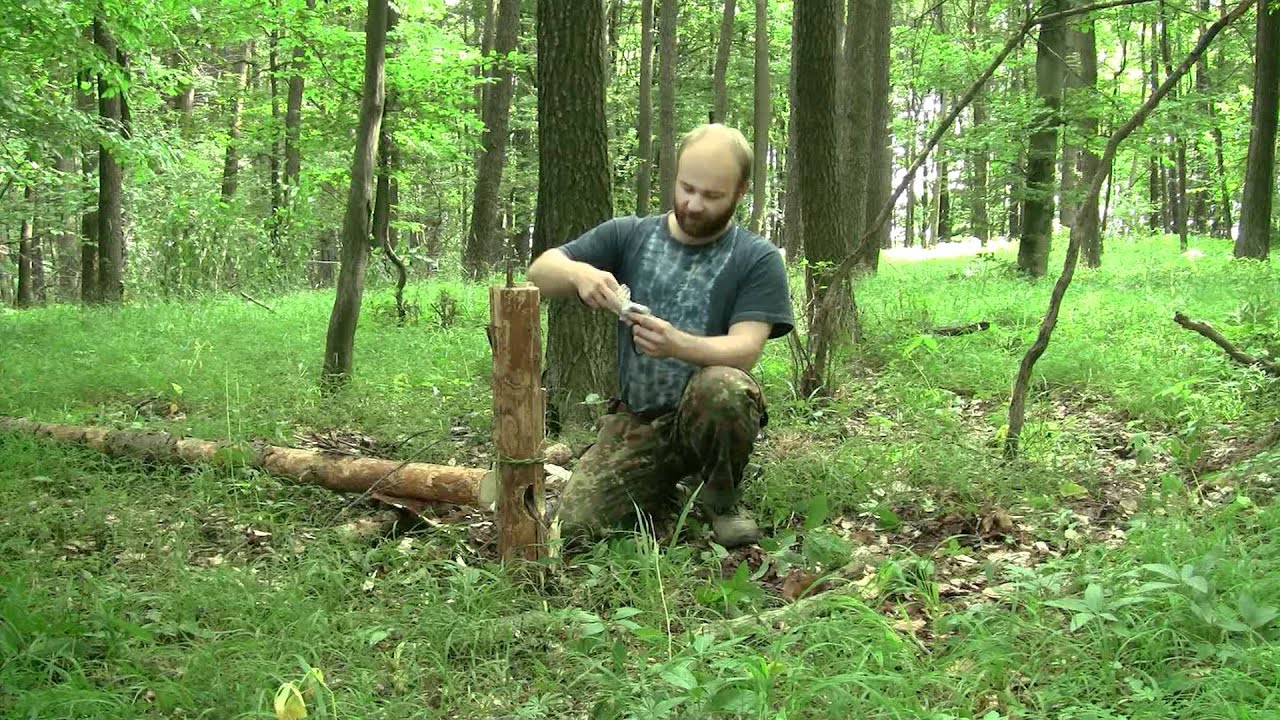 Sweden Logging