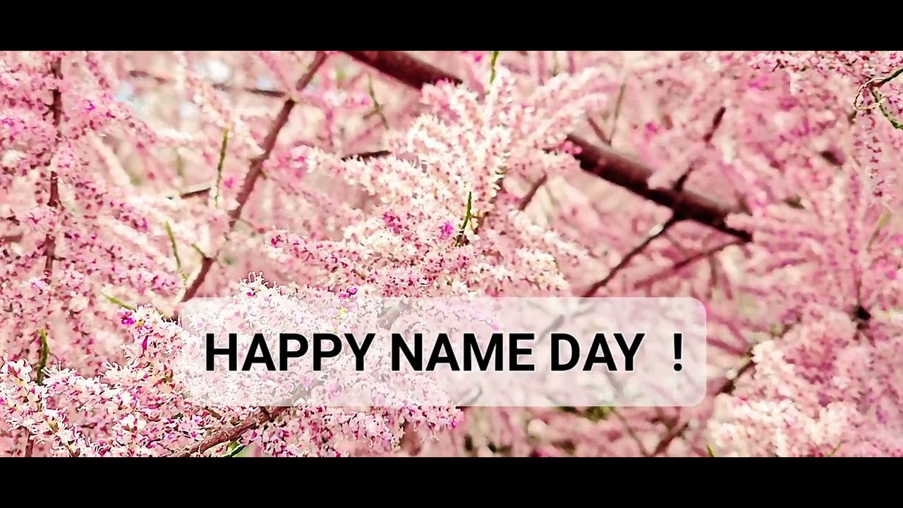 HAPPY NAME DAY ! - YouTube
