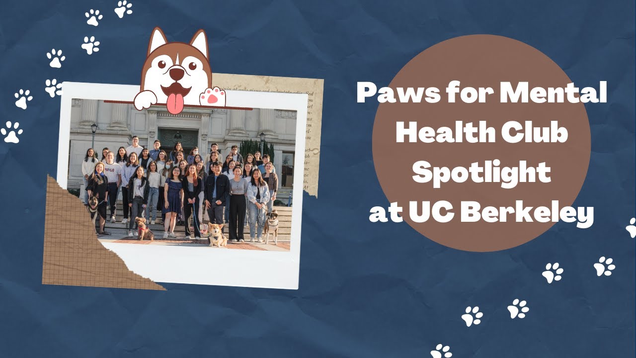 Paws for Mental Health | UC Berkeley Club Spotlight - YouTube