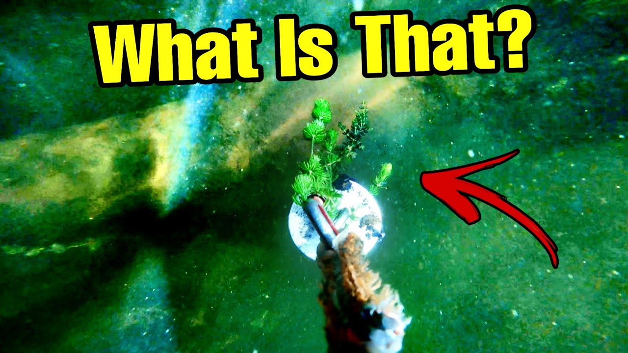 I Tossed a GoPro Strapped GIANT MAGNET Underwater! (Magnet Fishing ...