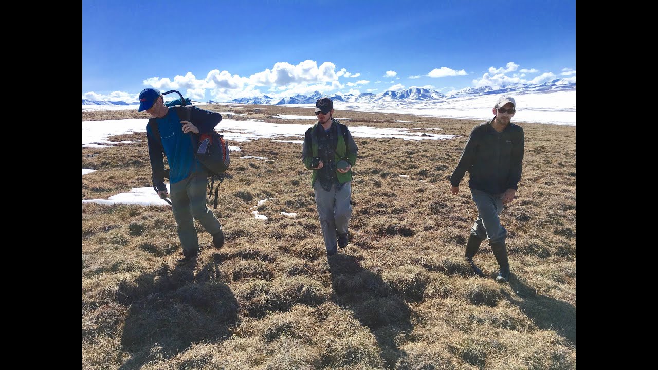 Arctic Research Expedition Inspires Biology Undergrad - YouTube