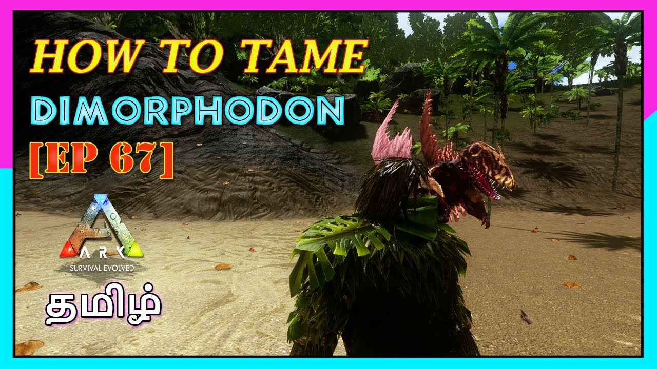 HOW TO TAME DIMORPHODON | ARK MOBILE | TAME SERIES EP 67 | MR RAPTOR ...