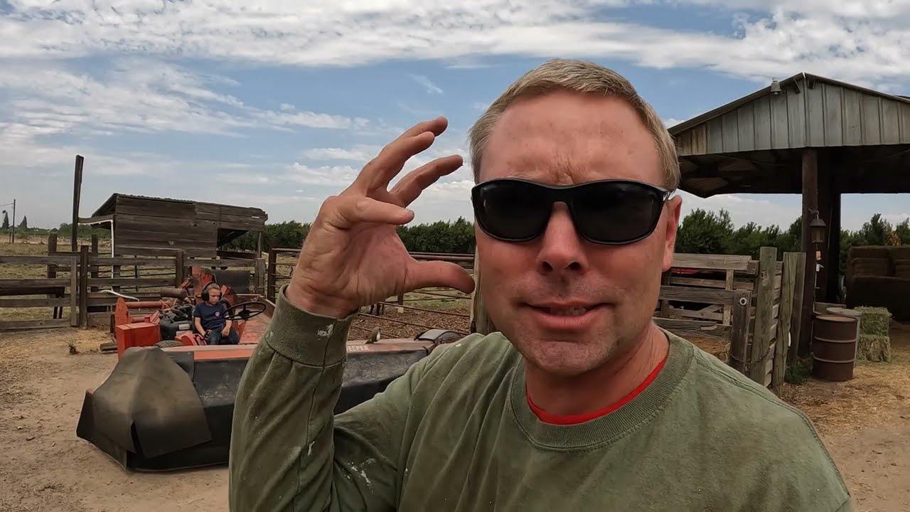 How does an Old Almond Sweeper look in action!! We get filthy and have ...