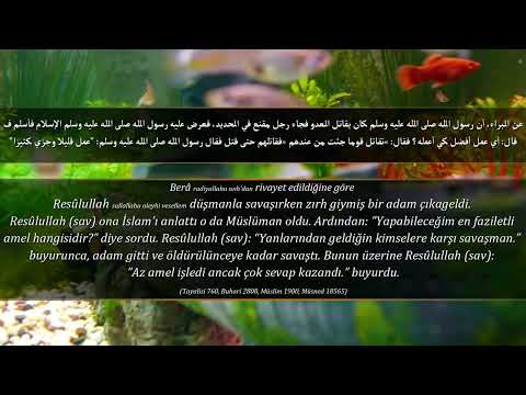 Hadislerle  Hikmet   09   Hadis  Az Amel İşledi Ancak Çok Sevab Kazandı