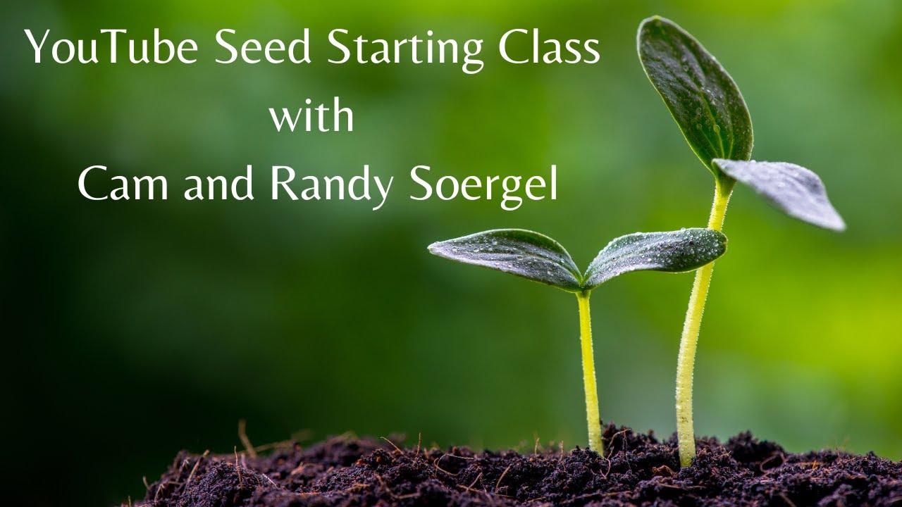 Seed Starting basics with Randy and Cameron Soergel - YouTube