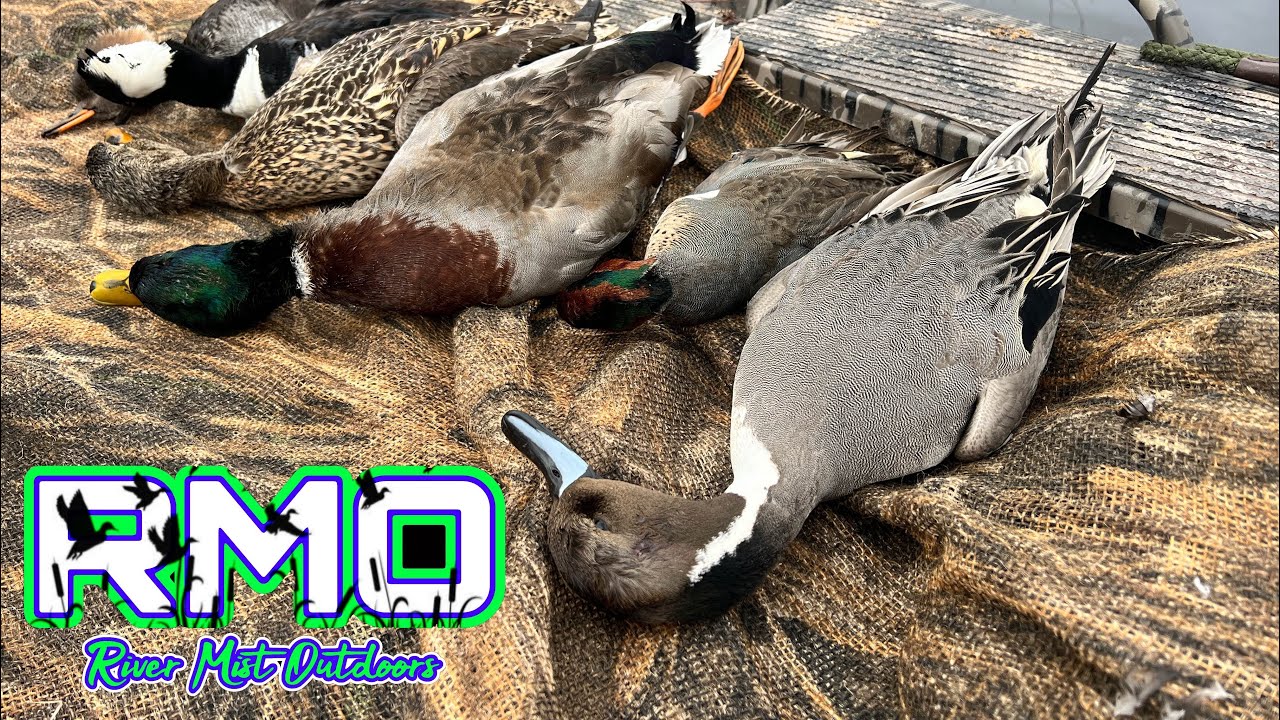 Crazy SC Duck Hunt - YouTube